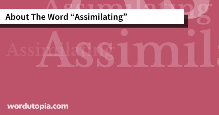 About The Word "Availability" - Wordutopia