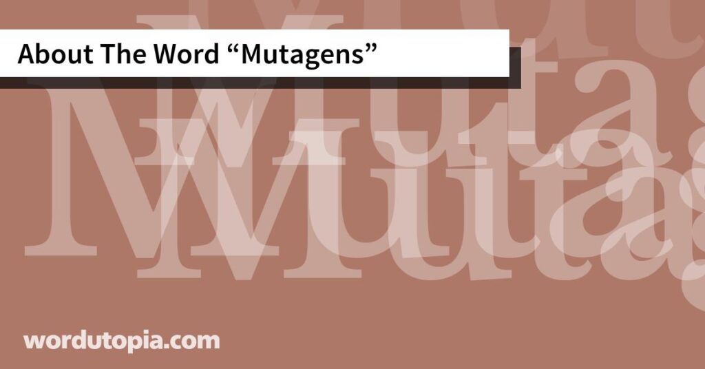About The Word "Segregation" - Wordutopia