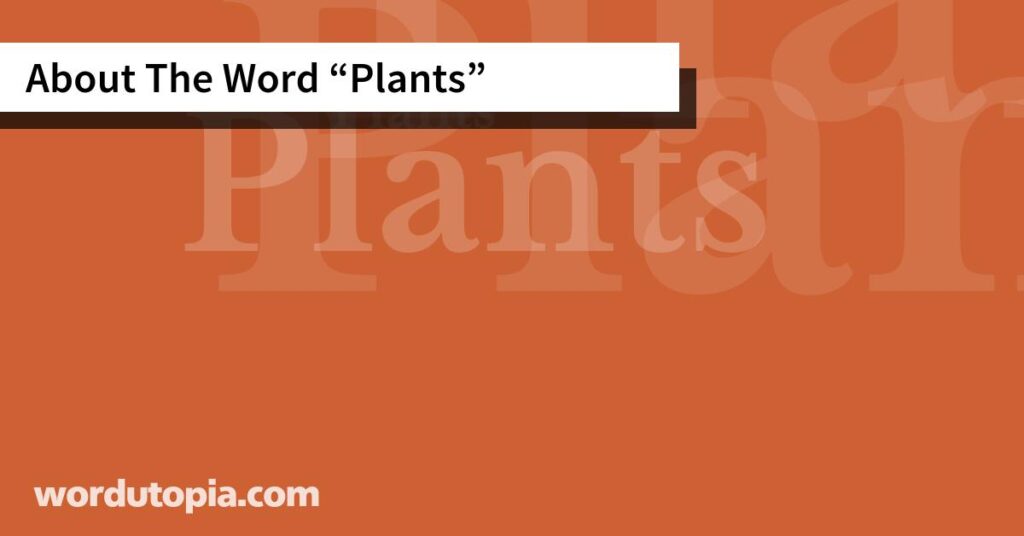 About The Word "Plants" - Wordutopia