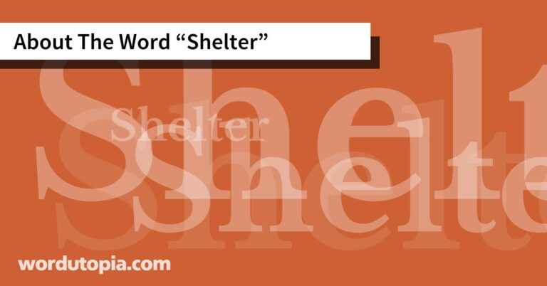About The Word "Shelter" - Wordutopia