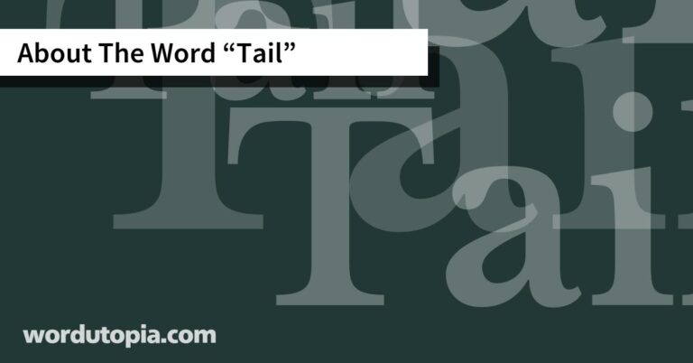 About The Word "Tail" - Wordutopia